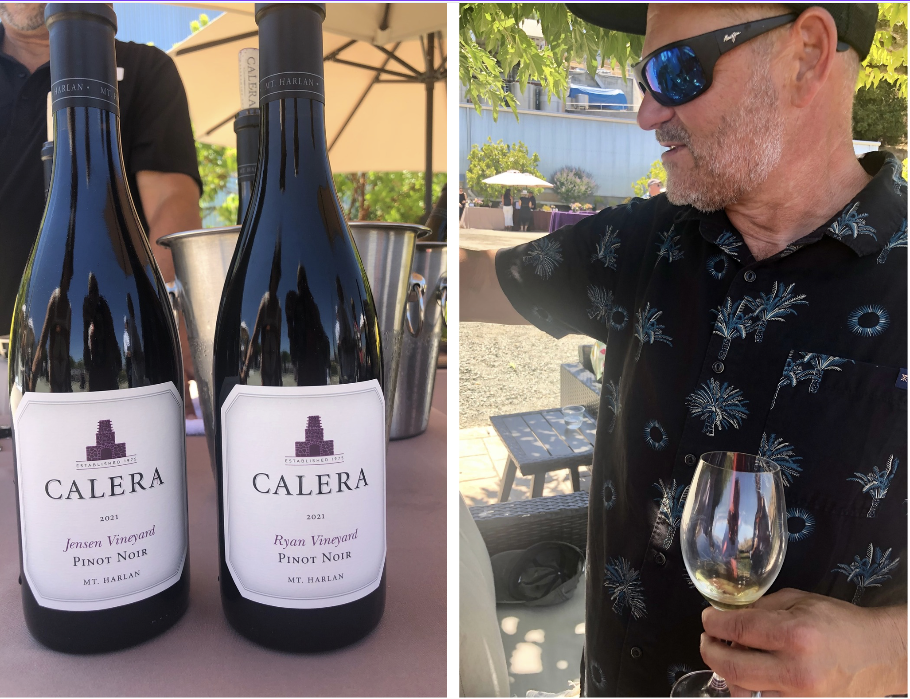 50 Years of Calera Wine: Celebrating “The Heartbreak Grape” - Edible ...