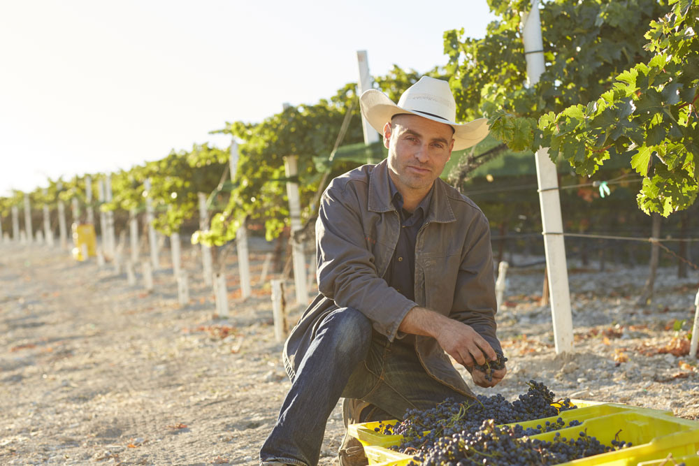 Spotlight on Undiscovered Grapes - Edible Monterey Bay