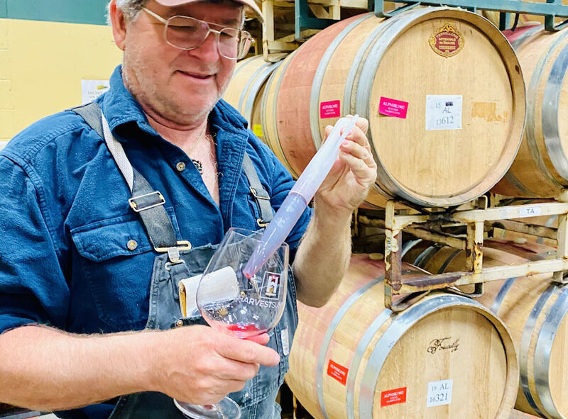 Spotlight on Undiscovered Grapes - Edible Monterey Bay