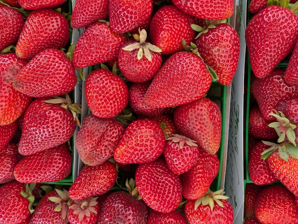 Rally Coming at Driscoll's as Berry Company Ups Response - Edible ...